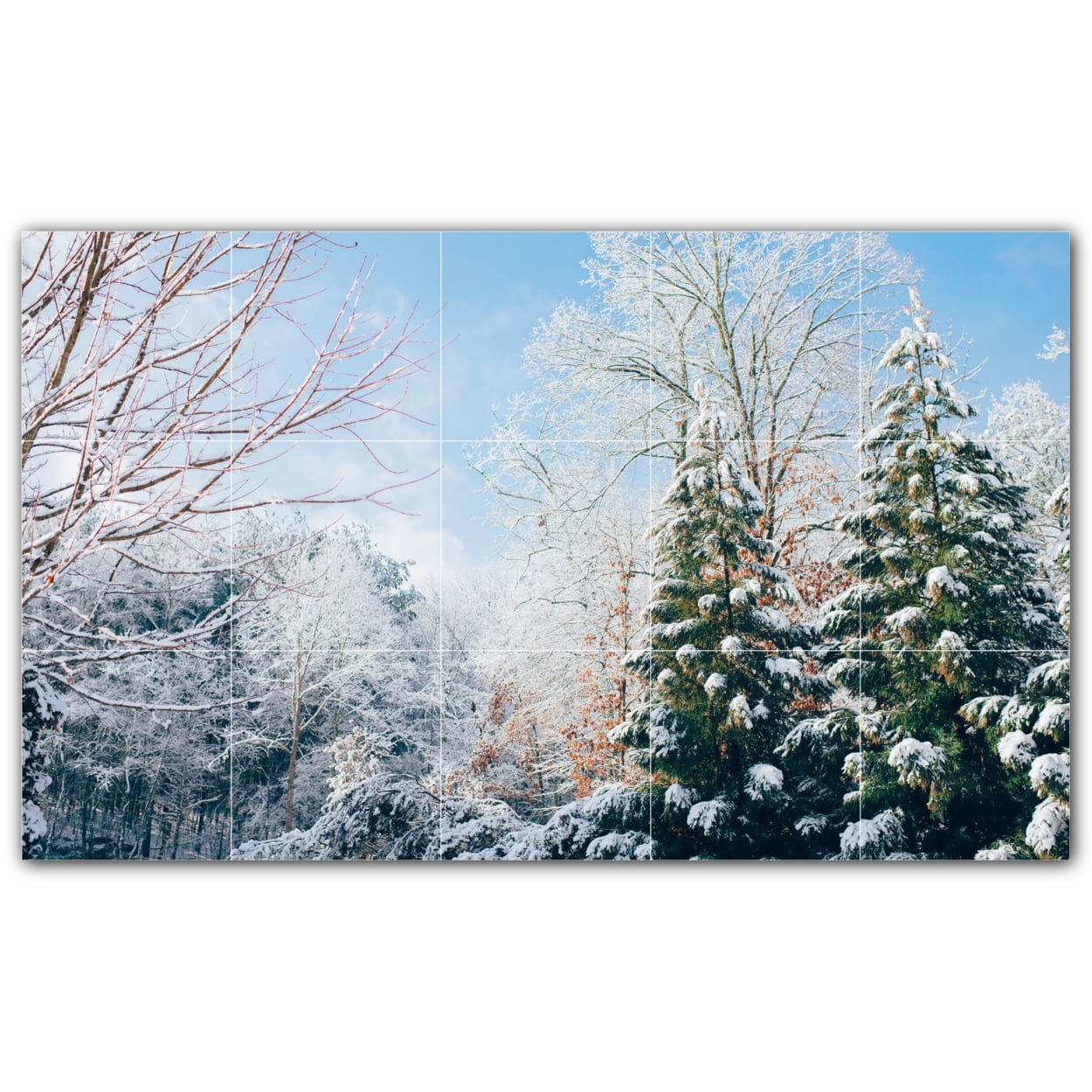Picture-Tiles.com: Winter Ceramic Tile Wall Mural WAL501219-53XL. 60"W ...