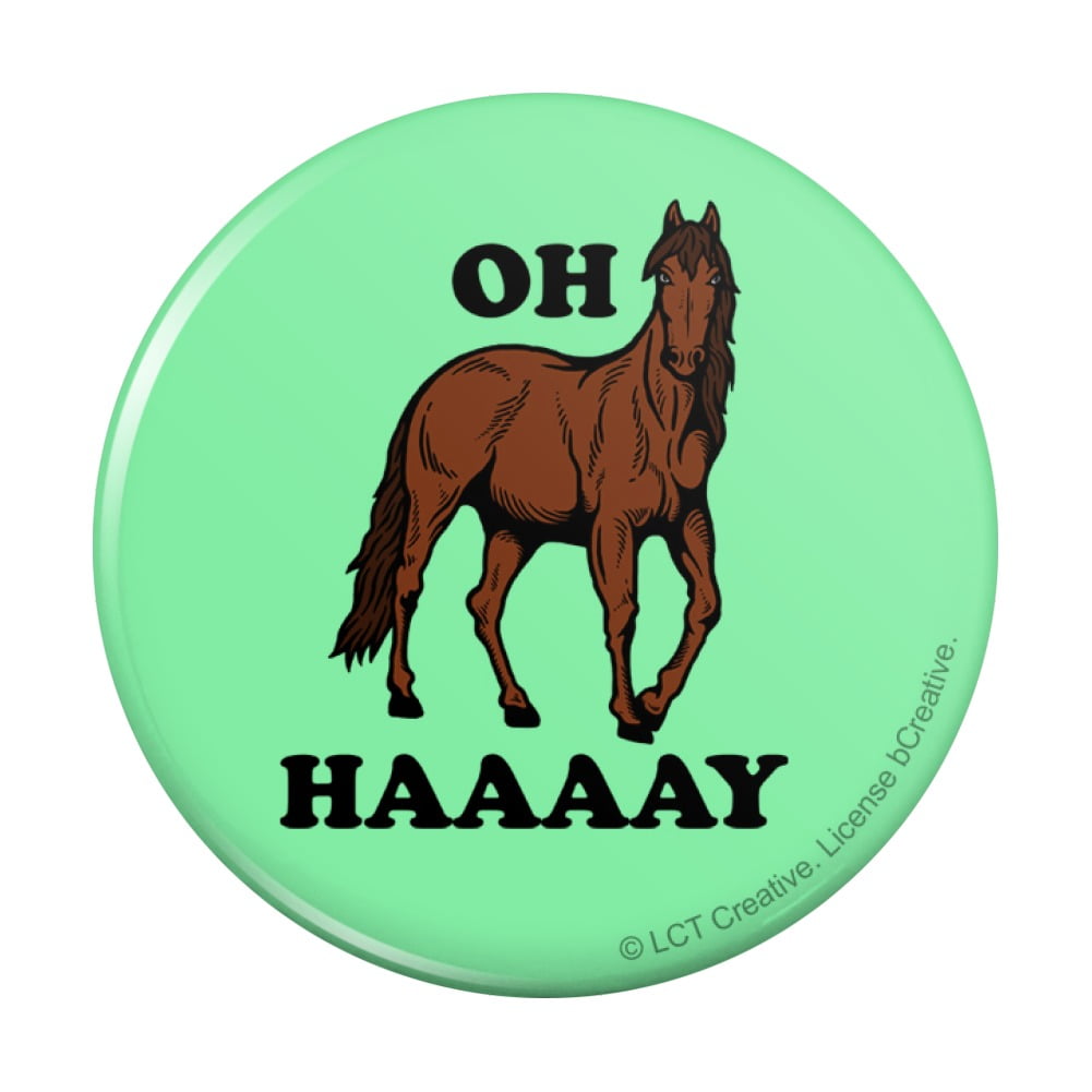 Oh Haaaay Horse Hay Hey Funny Humor Pinback Button Pin - Walmart.com