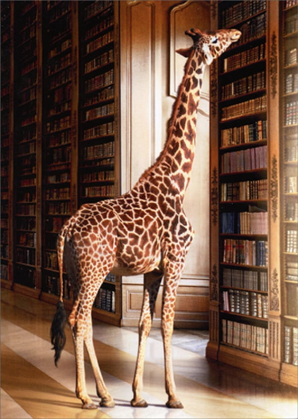 Avanti Press Giraffe At Library Funny / Humorous Graduation Card ...
