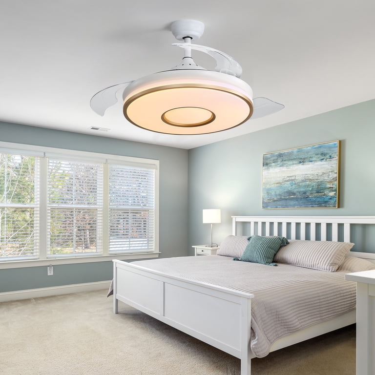 Hidden Ceiling Fans With Lights | Shelly Lighting