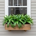 3pcs Artificial Bird's Nest Fern, 27.5" Wide Large Faux Fern Plants (45 ...