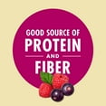 V8 +Protein, Plant-Based Protein Drink, Berry Acai, 11.5 Ounce Can ...