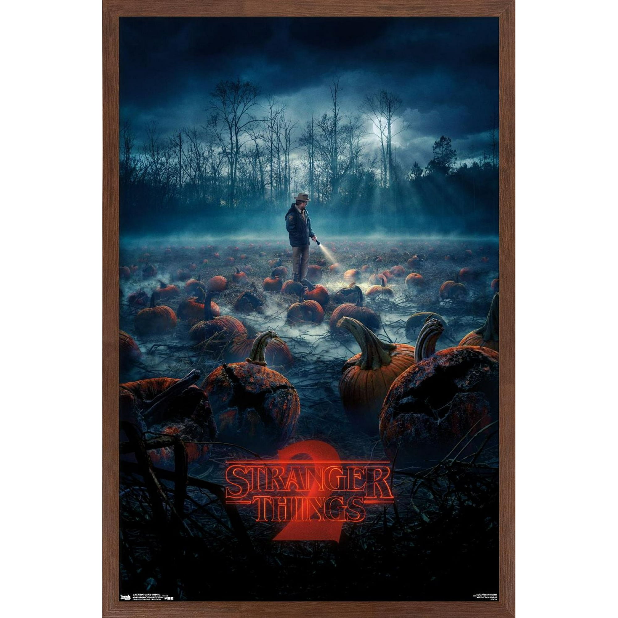 Click here for Trends International Netflix Stranger Things: Seas... prices