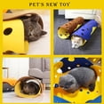 Cat Tunnels for Indoor , Foldable Felt Cat Tunnel Bed, DIY Cats Play ...