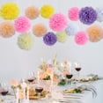 16 PCS Light Color Party Decorations Tissue Paper Flowers Pom Poms ...