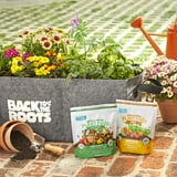 Back to the Roots Organic Premium Blend All-Purpose Plant Food, 1.5 lb ...