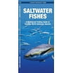 Fish Identification Guides: Saltwater Sport Fish of the Gulf Field ...