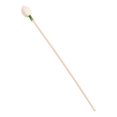 BESTYASH 10Pcs Diffuser Sticks with Flower Design Beige for Quick ...