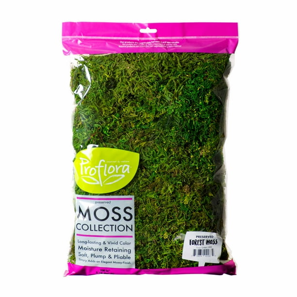 ProFlora Preserved Forest Moss, True Green, 320 CU IN - Walmart.com