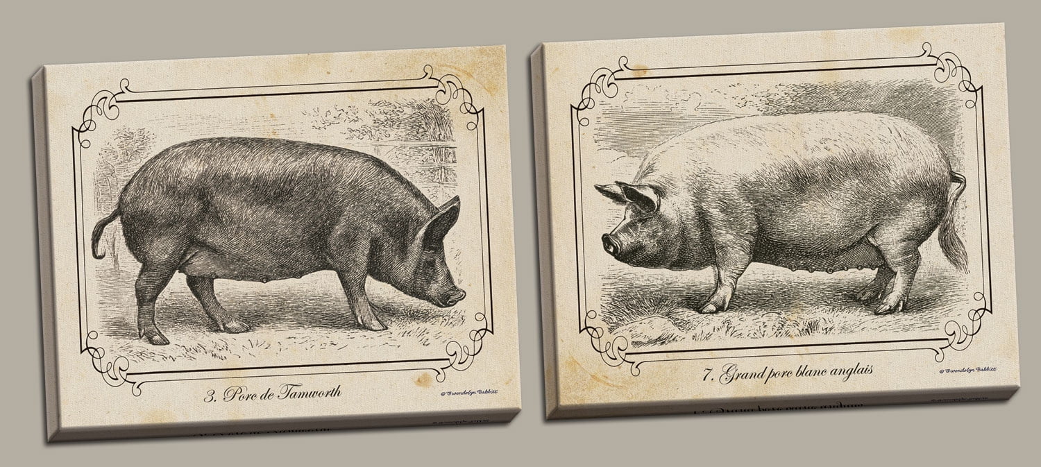 2 Black and White Pig Drawings Grayscale Vintage Farm Animals Kitchen ...