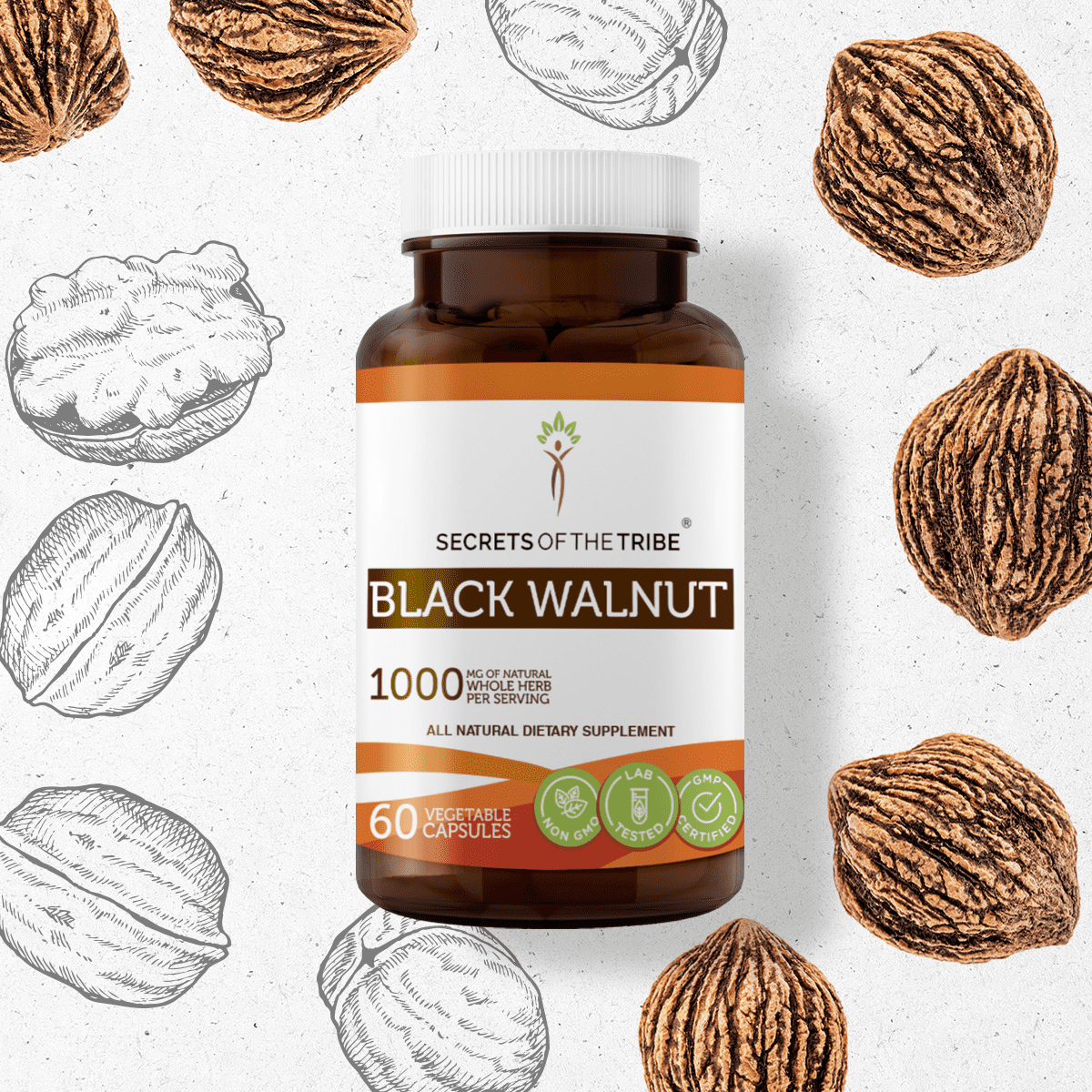 Black Walnut Nuts Hull