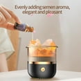 2-in-1 Ultrasonic Essential Oil Diffuser & Himalayan Salt Lamp ...
