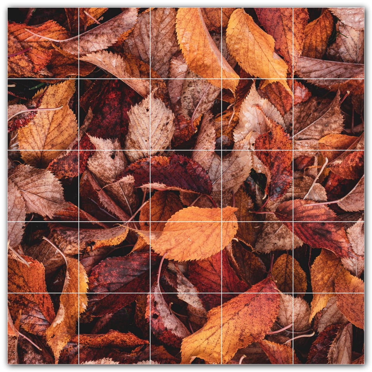 Picture-Tiles.com: Autumn Ceramic Tile Wall Mural WAL500004-55M. 30"W x ...