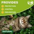 Natural Flea & Tick Collar for Cats, 12-Month Prevention, Safe ...