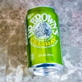 Dr Brown's CEL-RAY Soda - Delicious Natural Celery Zesty Flavor - 12 ...