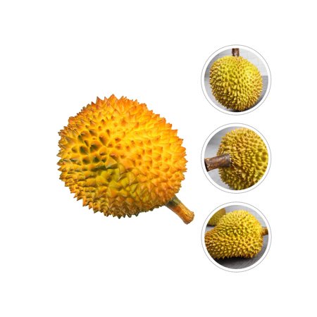 1 pc Simulation Durian Ornament Plastic Fake Durian Photography Props ...