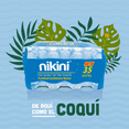 Nikini Water, 35 Pack 16.9 fl oz Plastic Bottle - Walmart.com