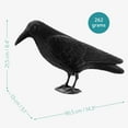 Navaris Crow Decoy - Fake Black Crow Decoy for Attracting Crows ...