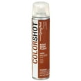 COLORSHOT Premium Multi-Surface Satin Root Beer Float Spray Paint - 10 ...
