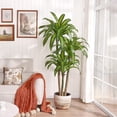 Artificial Dracaena Tree 6 Ft with Silk Leaves and Natural Trunk in ...