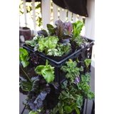 Smart Pot Milk Crate Liner 12x18x12: Portable Urban Container Planter ...