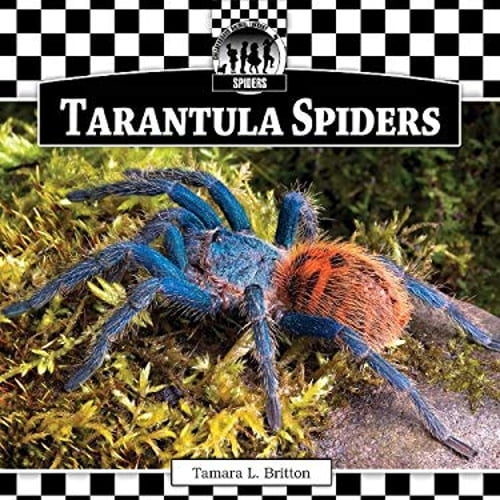 Pre-Owned Tarantula Spiders (Library Binding) 1616134429 9781616134426 ...
