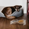 BESTYASH Clear Acrylic Pet Food and Water Bowl Double Feeder for Indoor ...