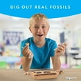 National Geographic Super Fossil Dig Kit - Walmart.com