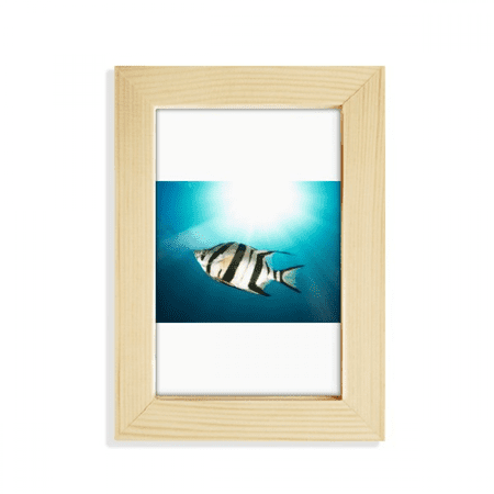 Marine Organism Tropical Sea Fish Desktop Display Photo Frame Picture ...