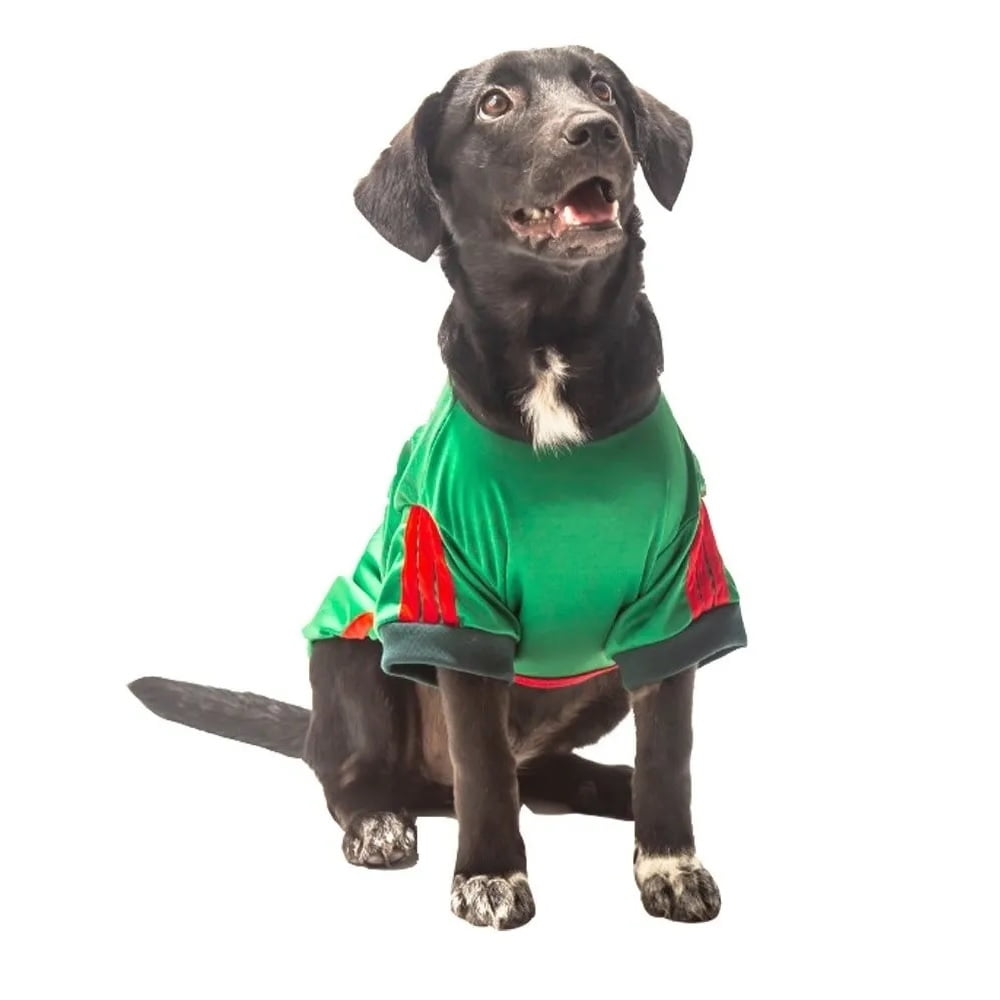 Playera Pet Pals México Mundial Verde Perro Talla 4 MEX22V4 | Walmart ...