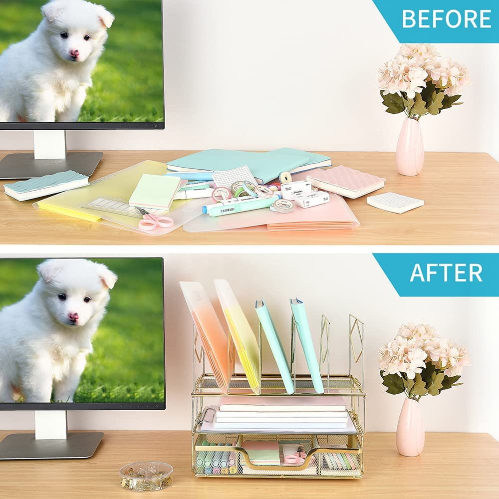 Desk Organizers and Accessories - Double Tray and 5 Upright Sections ...