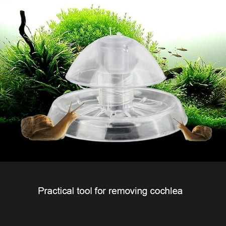 Plastic Snail Catcher Aquarium Fish Tank Catch Box Snail Clear Snail ...