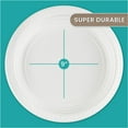 PLASTICPRO 9-inch Round Plastic Plates, Large Disposable Dinnerware for ...