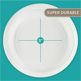 PLASTICPRO 9-inch Round Plastic Plates, Large Disposable Dinnerware for ...