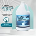 Steam & Go Multi-Surface Liquid Solution, Demineralized Water for Steam ...