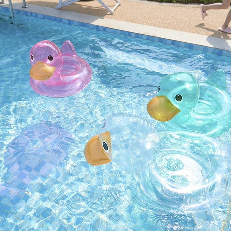Ducks In Swimming Pool 1