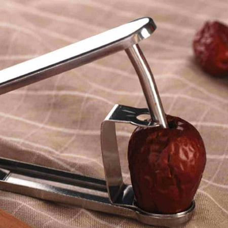 ziyahi Stainless Steel Jujube Core Picker Pitter Cherry Kernel Seed ...