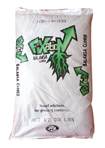 Fixation Balansa Clover Seed - 50 Lbs. - Walmart.com