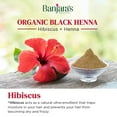 Banjara'S Henna Based Hair Color Powder With Hibiscus | 10Gm Each ...