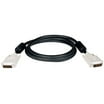 Tripp Lite P776-019 KVM Cable - Walmart.com