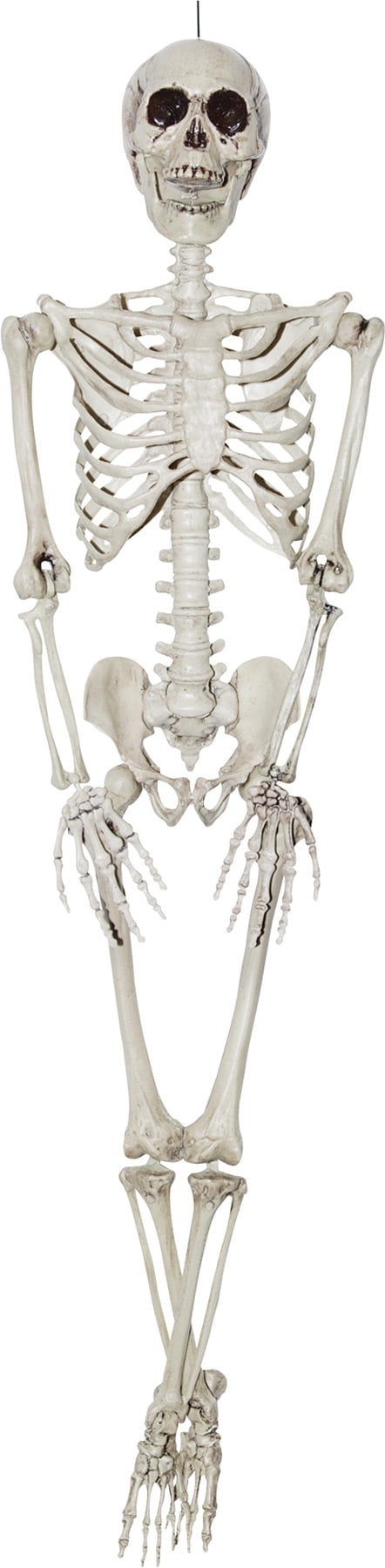 Sunstar Industries SKELETON 36 INCH costume - Walmart.ca
