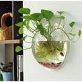 1Pc/2Pcs Hanging Wall Mounted Fish Tank Bowl Aquarium Wall Decor Plant ...