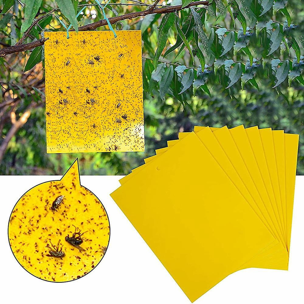 50 Pieces Insect Traps, Double Sided Sticky Traps, Yellow Insect Killer ...