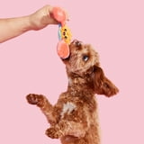 BARK Plush Dog Toys Sally Bitefoot Crab, for Dogs of All Sizes ...