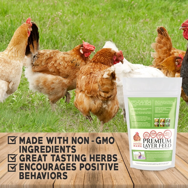 Protein For Chicken Layers