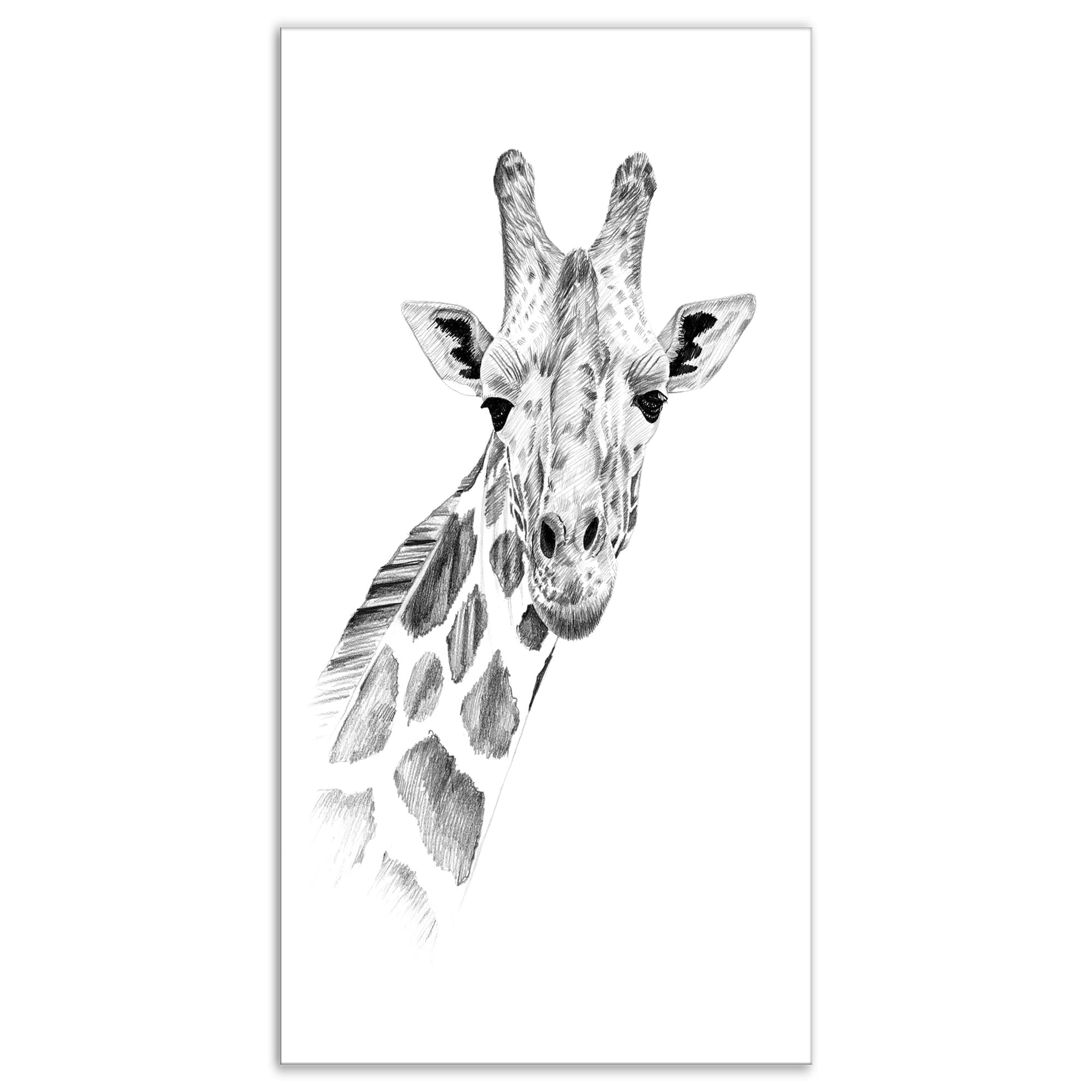 Black And White Giraffe Drawing