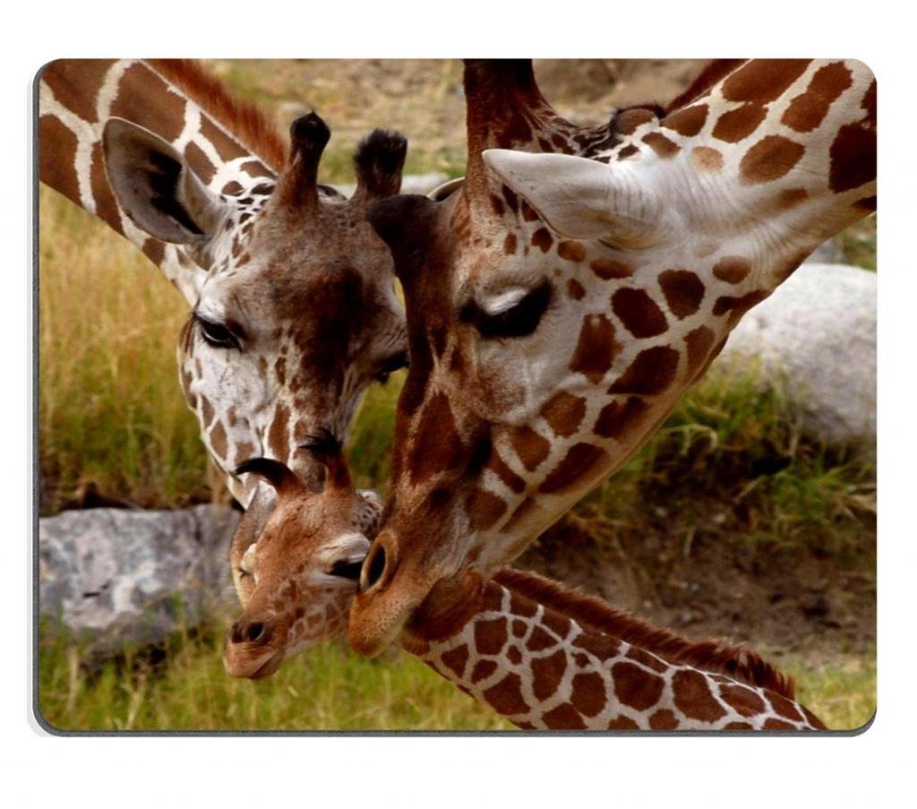 POPCreation baby giraffe family woodland Mouse pads Gaming Mouse Pad 9 ...