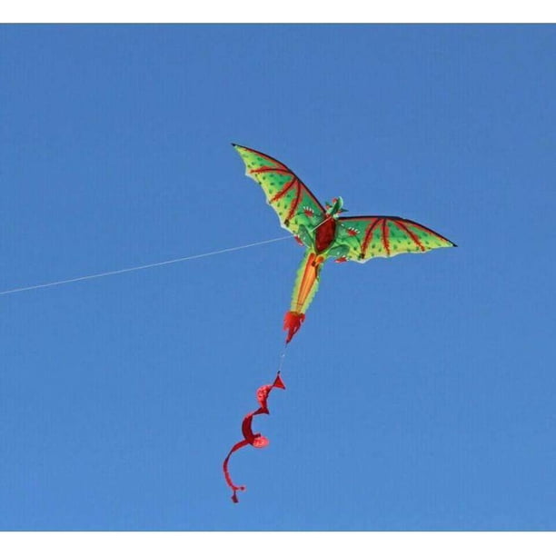 ruzhgo 3D Colourful Dragon Single Line Kites with Long Tails Beginner ...