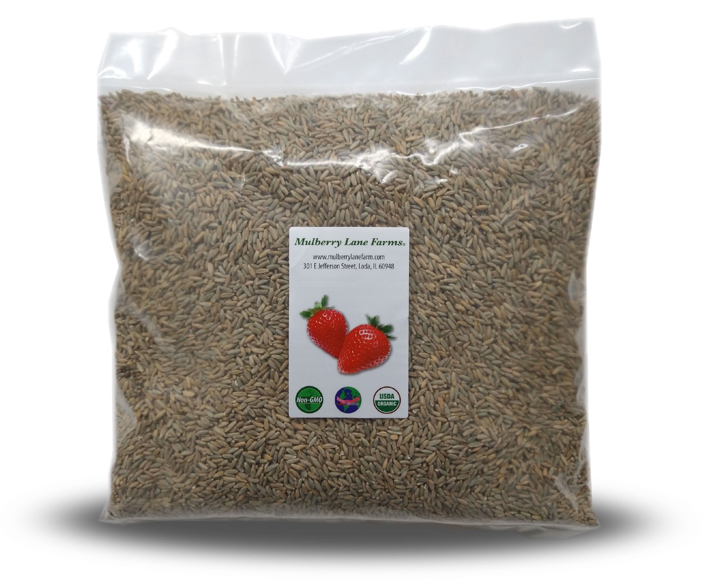 Rye Berries 5 lbs (Five Pounds) USDA Certified Organic and Non-GMO ...