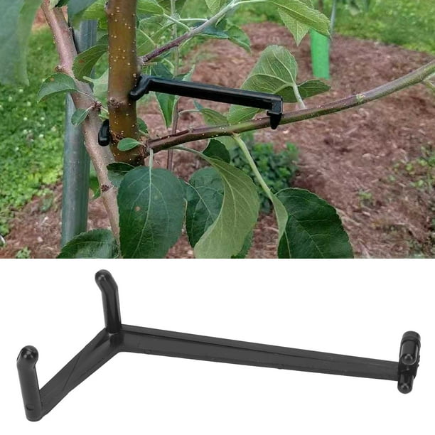 Branch Spreader,20pcs Fruit Branch Spreader Fruit Tree Branch Limb ...